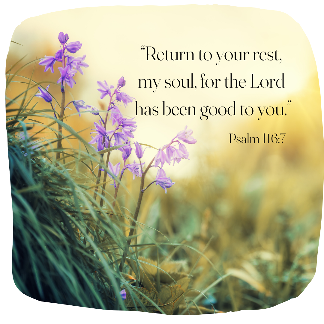 Return to Your Rest, My Soul – Drawing Closer